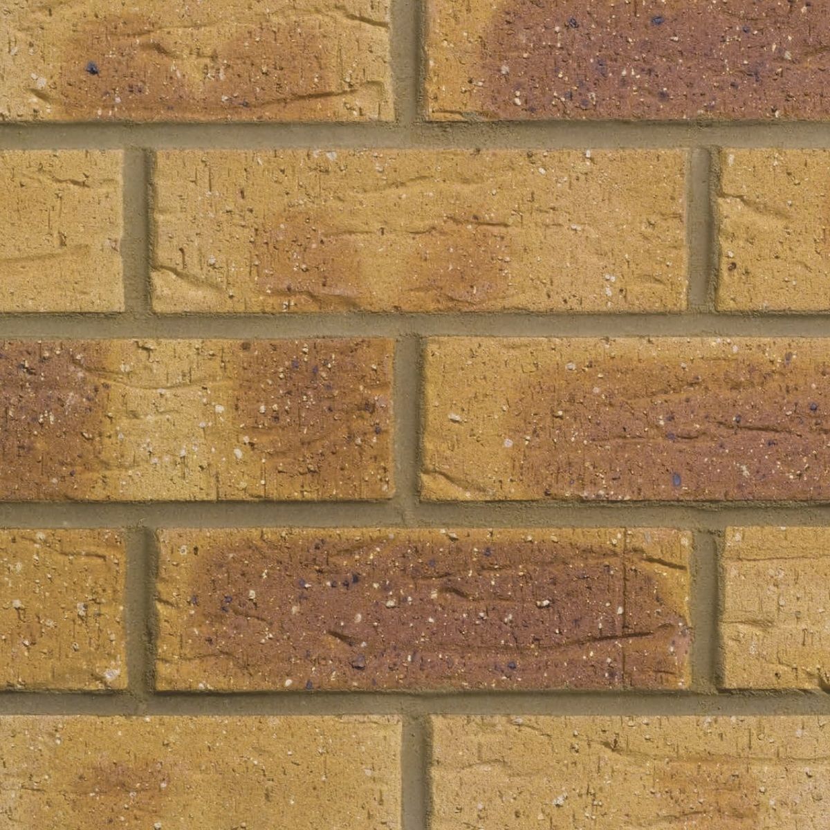 Forterra LBC Golden Buff Pressed Facing Brick Pack of 390 - Brick Wholesale