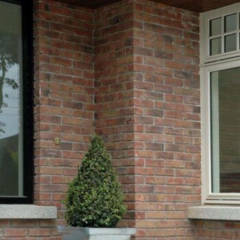 Ibstock Capital Brown Multi Stock Facing Brick Pack of 475 - Brick ...