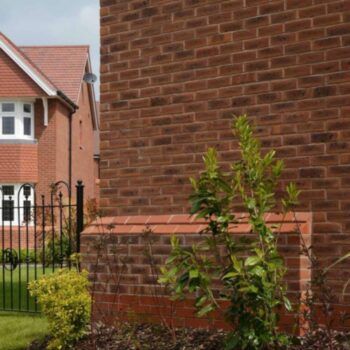 Ibstock Capital Brown Multi Stock Facing Brick Pack of 475 - Brick ...